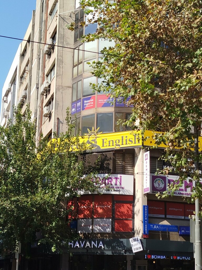 Sigorta şirketleri Başarım Sigorta, İzmir, foto