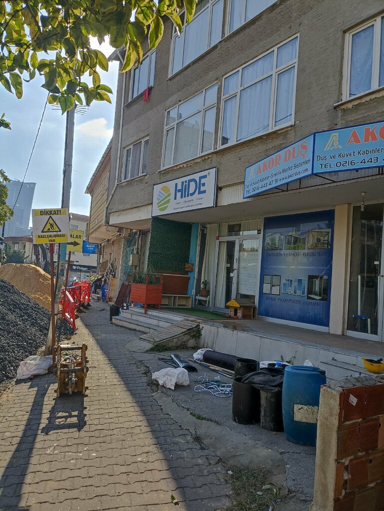 Danışmanlık hizmetleri Hide Eğitim, İstanbul, foto