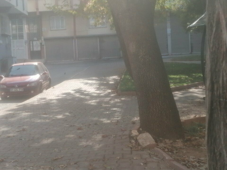 Bilgisayar mağazaları Bilgi Net Bilgisayar ve İnternet Hizmetleri, Gaziantep, foto