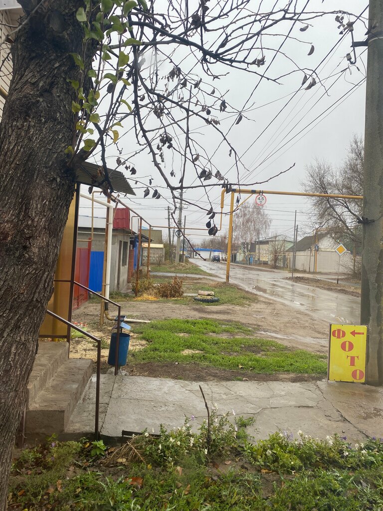 Oto lastik tamiri Шиномонтаж, Volgogradskaya oblastı, foto