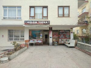 Gülüm Yufka&Mantı (Ankara, Mamak, Abidinpaşa Mah., Şehit Osman Cad., 9), ekmek fırını  Ankara'dan