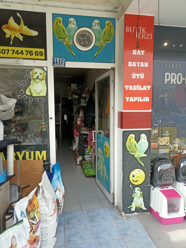 Petshop Tarçın Akvaryum, Konya, foto