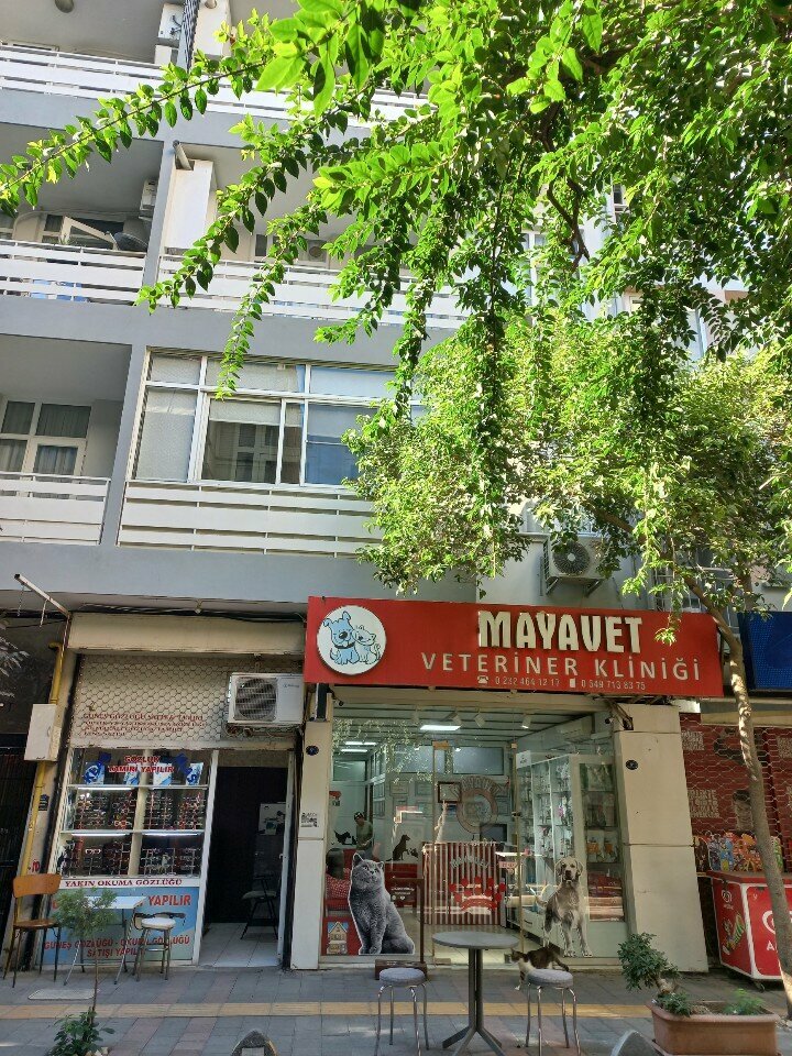 Veteriner klinikleri Mayavet Veteriner Kliniği, İzmir, foto