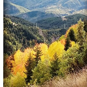 Tepeköy Geleneksel Yaşam Kültürü Müzesi (Artvin, Şavşat, Tepeköy Gökyuva Mevkii), müzeler ve sanat galerileri  Şavşat'tan