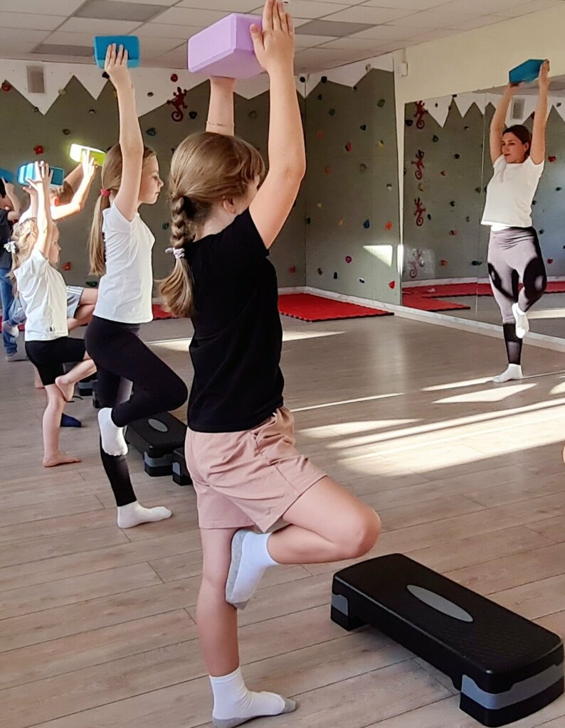 Tırmanma duvarı Асанка, Moskova ve Moskovskaya oblastı, foto