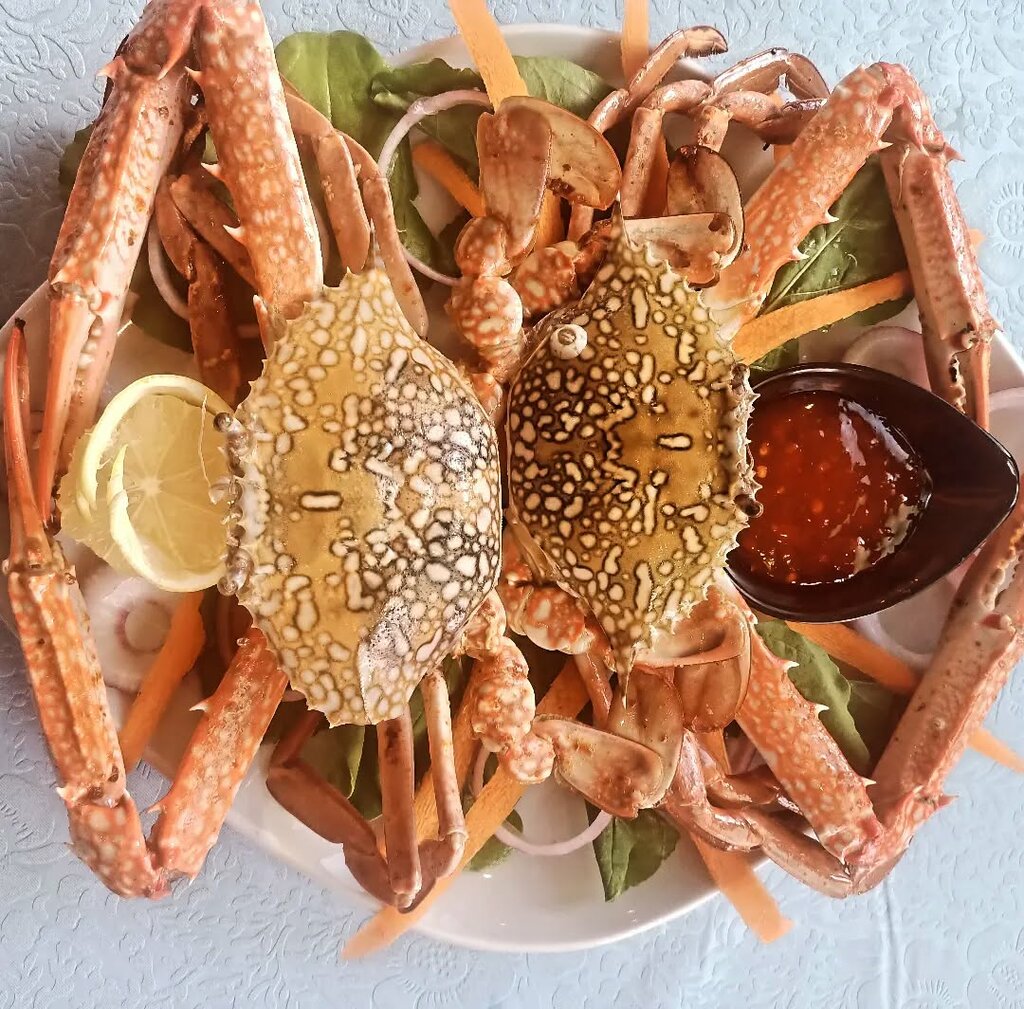 Restoran Şef Deniz Balık, Ankara, foto