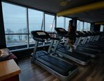 Fatsa Oksijen Spor Merkezi (Ordu, Fatsa, Dolunay Mah., Samanyolu Sok., 1), spor ve eğlence merkezi  Fatsa'dan