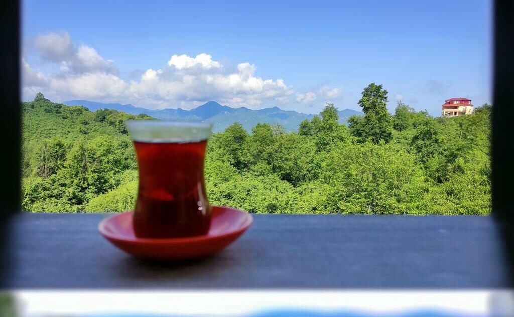 Muhtarlıklar Belen Köy Muhtarlığı, Tirebolu, foto