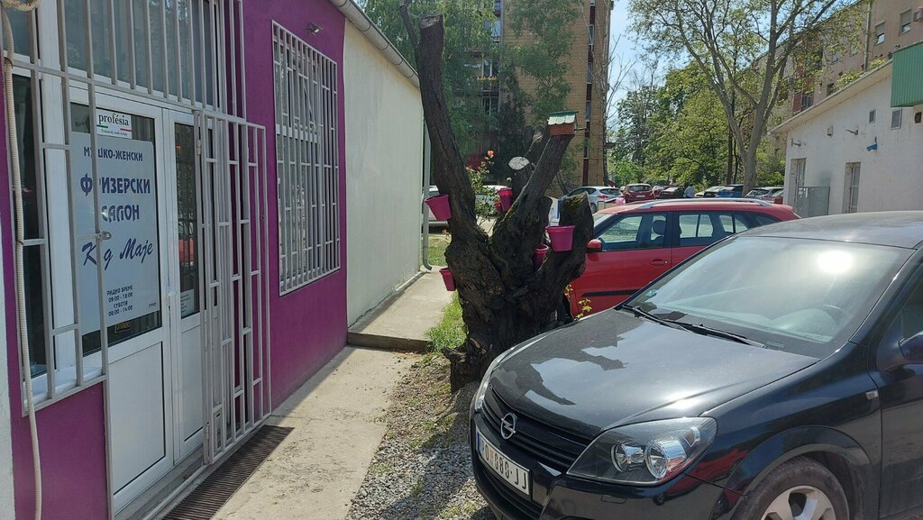 Kuaförler Kod Maje, Novi Sad, foto
