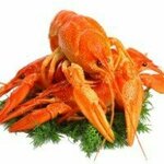 Crayfish (Komsomolskaya Street No:8), balık ve deniz ürünleri  İvanovo'dan