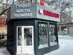 Woow. cvety (Peace Avenue No:98), çiçekçiler  Temirtav'dan