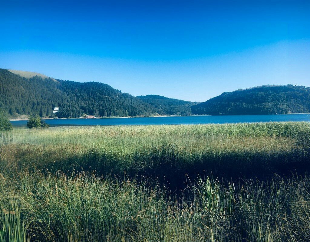 Piknik alanı Abant Gölü Milli Parkı Kıbrıs Çeşmesi Piknik Alanı, Mudurnu, foto