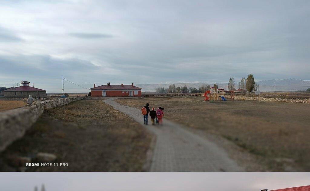 Muhtarlıklar Satıcılar Köy Muhtarlığı, Diyadin, foto