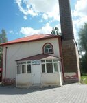 Şehit Yusuf Cami (Ağrı, Hamur, Yeni Mah., Yurt Sok., 1/2), cami  Hamur'dan