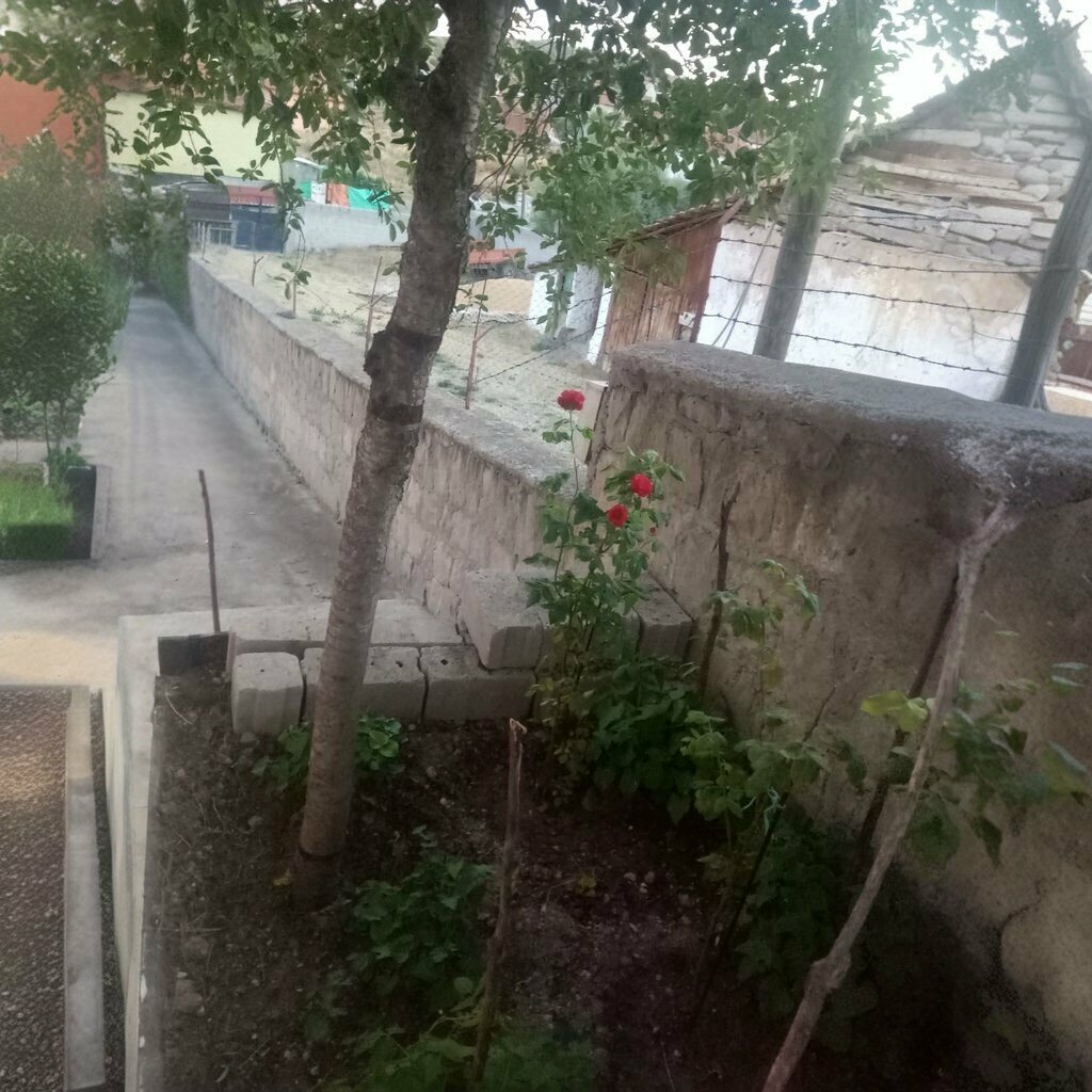 Cami Parmaksız Köyü Cami, Saraykent, foto