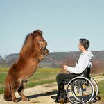 Animal Veteriner Kliniği (Kocaeli, İzmit, Yeşilova Mah., Yeşilova Cad., 7), veteriner klinikleri  İzmit'ten
