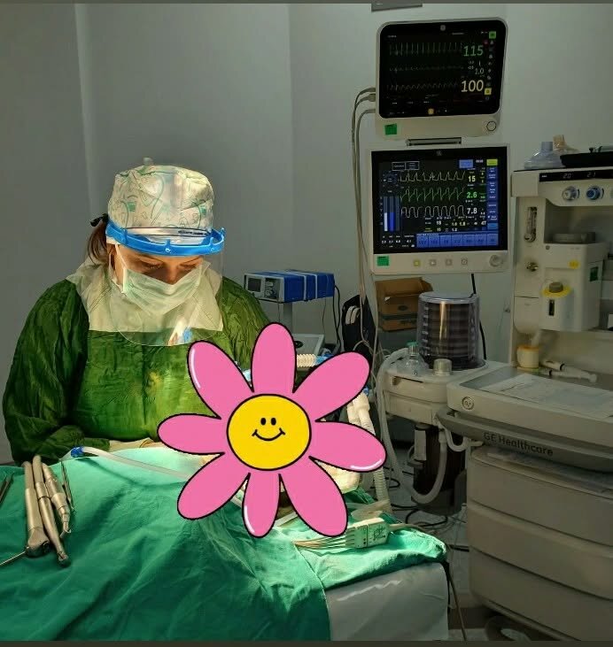 Özel ağız ve diş sağlığı klinikleri ve muayenehaneleri Çocuk Diş Hekimi Uzm. Dt. Kevser Danıştı Muayenehanesi, Kahramanmaraş, foto
