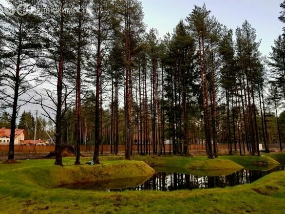 Yazlık yerleşim Охта SPA Residence, Saint‑Petersburg ve Leningradskaya oblastı, foto