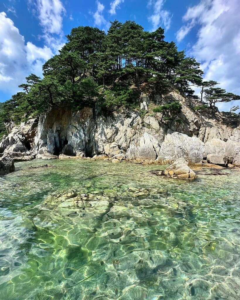 Resort oteller, tesisler Sakura, Primoriye, foto
