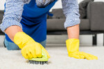 Elite Xpress Cleaning LLC (44A, Sheikh Mohammed Bin Zayed Road, Sharjah), bina bakım hizmetleri