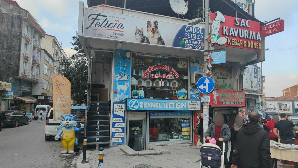 Petshop Cadde Akvaryum, İstanbul, foto