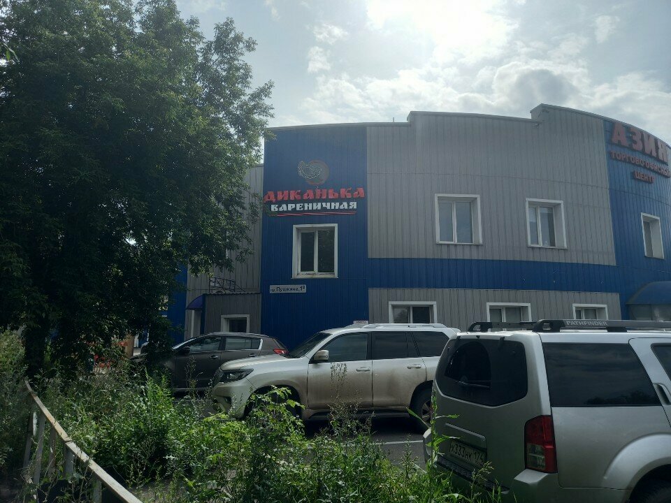 Kafe Диканька, Magnitogorsk, foto