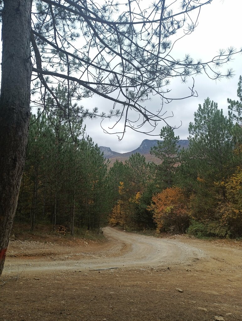 Dağ geçidi Перевал Митис-Богаз, Kırım Cumhuriyeti, foto