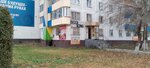 Beer king (Áýezov kóshesі No:89), alkollü içecekler  Aksu'dan
