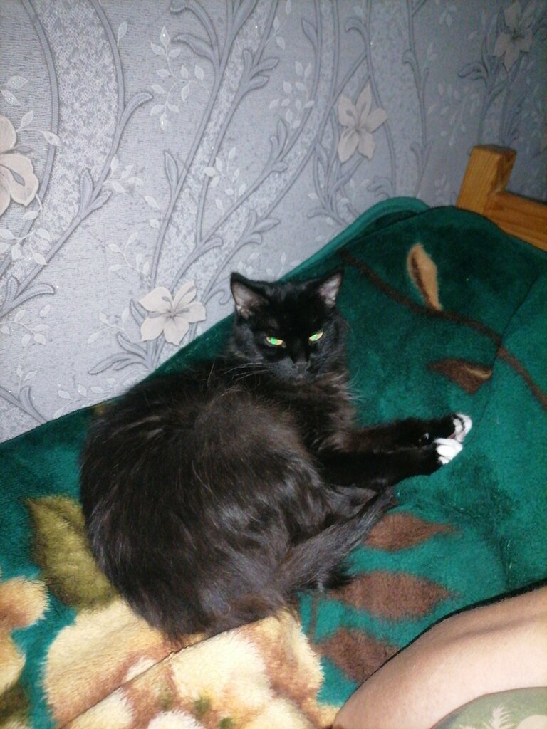 Taksi Такси, Drogichin, foto