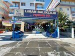 Liman Balıkçılık ve Pişirme Evi (Ankara, Etimesgut, Şehit Hikmet Özer Cad., 100B), restoran  Ankara'dan