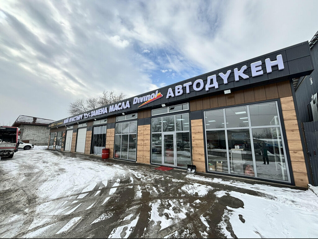 Otomobil servisi VIP Oil Service, Almatı, foto