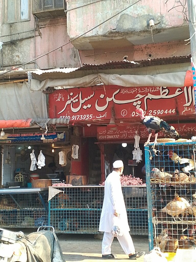 Kanatlı hayvan ürünleri ve yumurta Al Azam chicken sale centre, Karaçi, foto