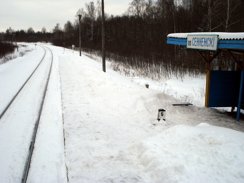 Yük istasyonu Siennienski Station, Vitebskaya oblastı, foto