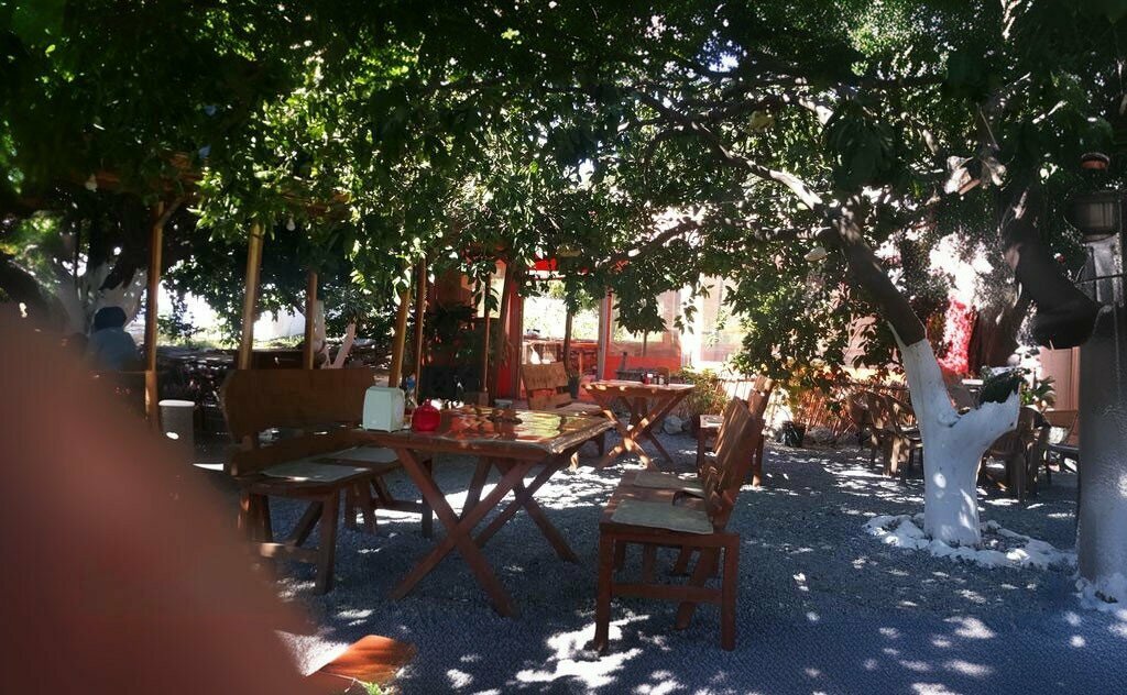 Kafe Çakır Ağanın Yeri, Söke, foto