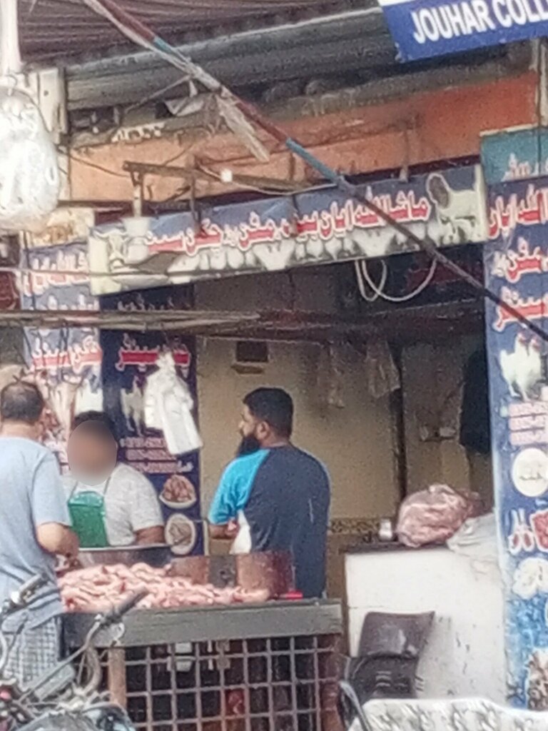 Kanatlı hayvan ürünleri ve yumurta Mashallah, Karaçi, foto