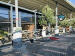 Efşan Yeni Nesil Meyhane (Marmara Mah., Ulusum Cad., 34/4C, Beylikdüzü, İstanbul), meyhane  İstanbul'dan