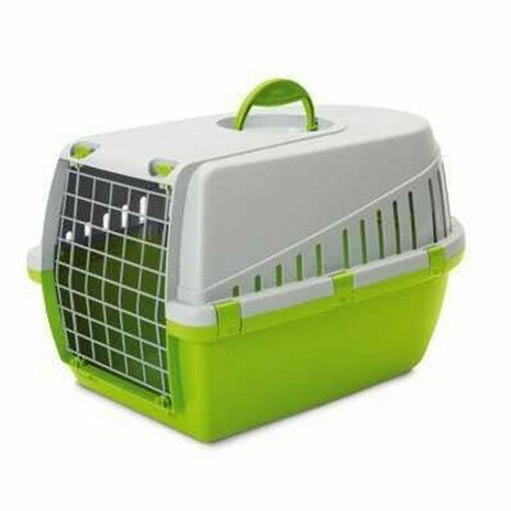 Petshop Burada, İstanbul, foto