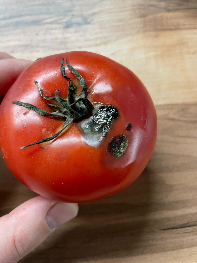 Manavlar Овощи и фрукты, Minskaya oblastı, foto