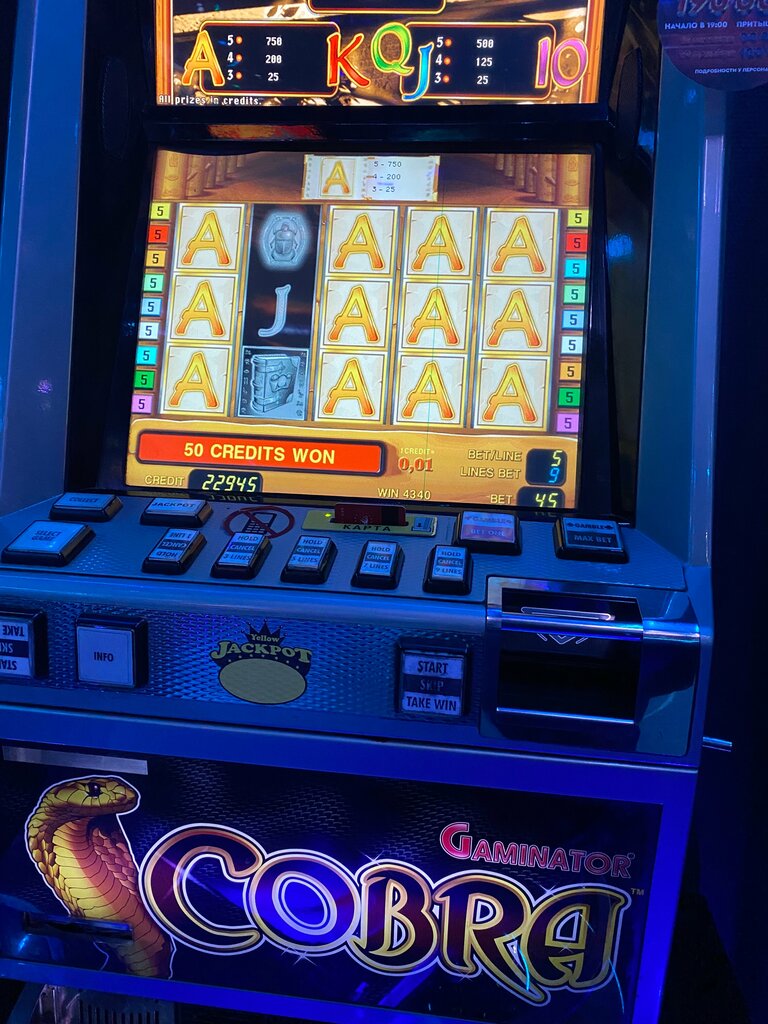 Oyun salonları Maxbet, Minsk, foto