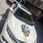 Turkuaz Çiçekçilik (Niğde, Niğde Merkez, Süleyman Fethi Cad., 22), çiçekçiler  Niğde'den