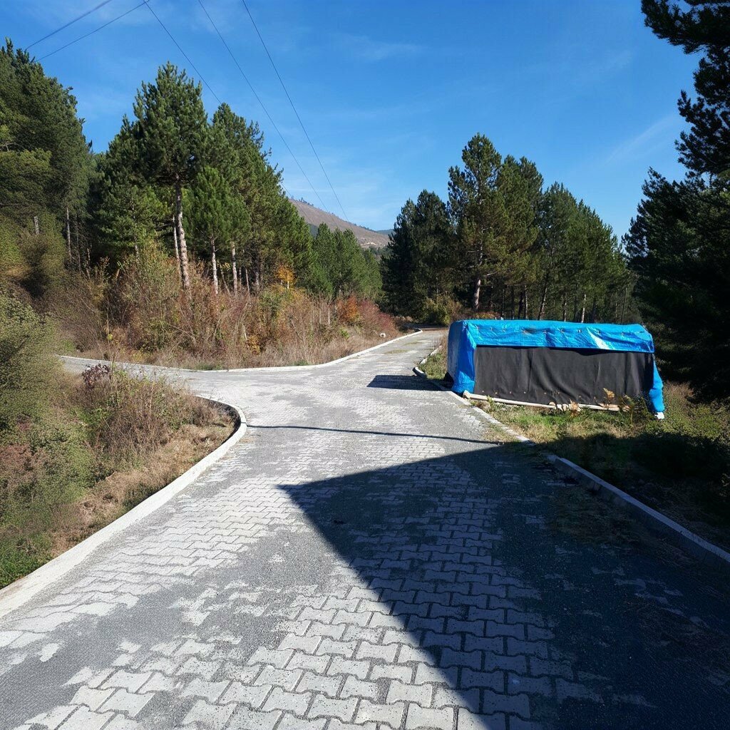 Muhtarlıklar Ağacalar Köy Muhtarlığı, Mengen, foto