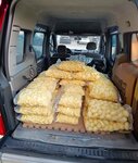 Hilal Baş Patates Dünyası (Ankara, Altındağ, Örnek Mah., Kadırga Sok., 40), sanayi kuruluşu  Ankara'dan