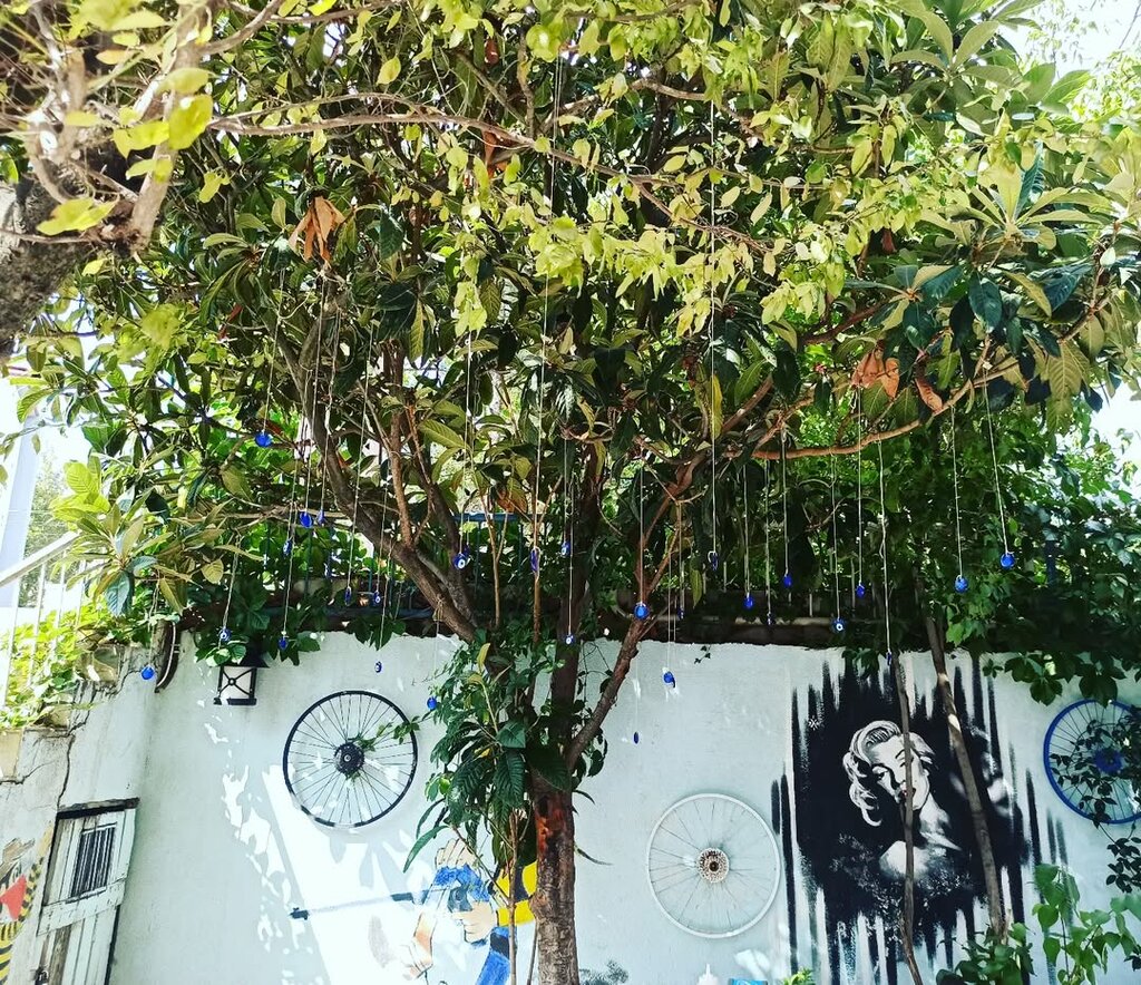 Restoran Hüseyin'in Yeri, Edirne, foto