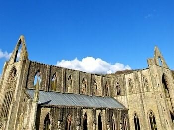 Otel No. 8 Accommodation, Galler, foto