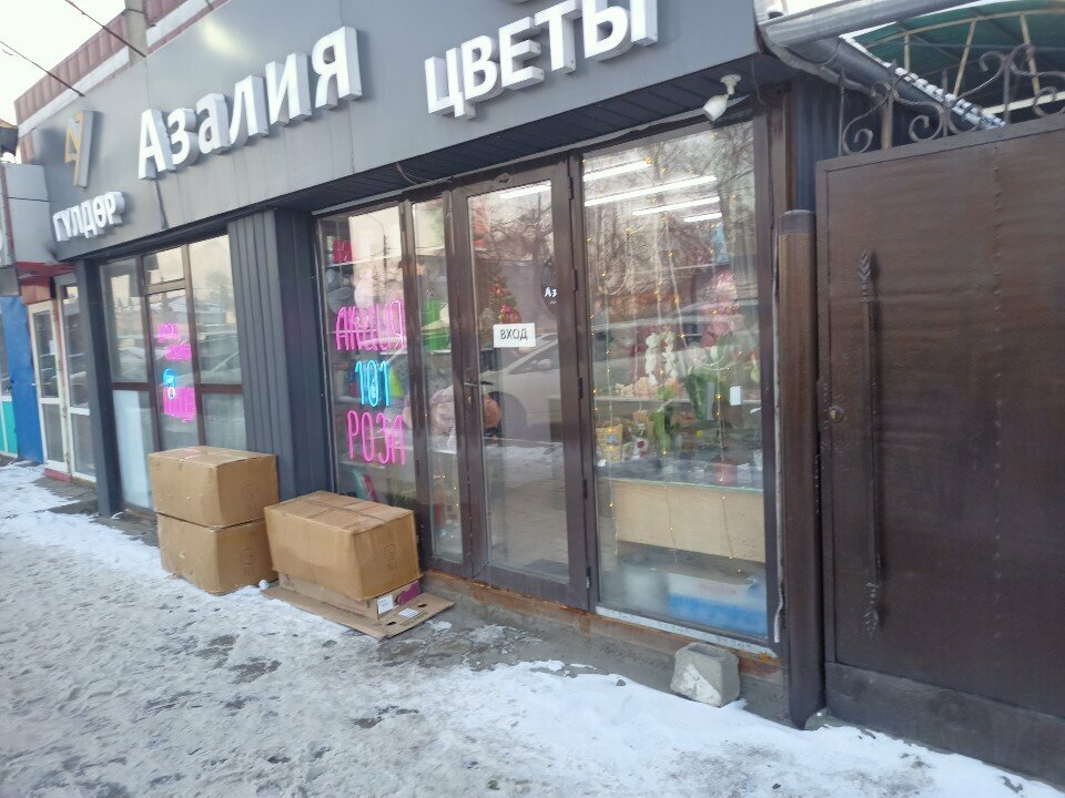 Çiçekçiler Azalea, Bişkek, foto