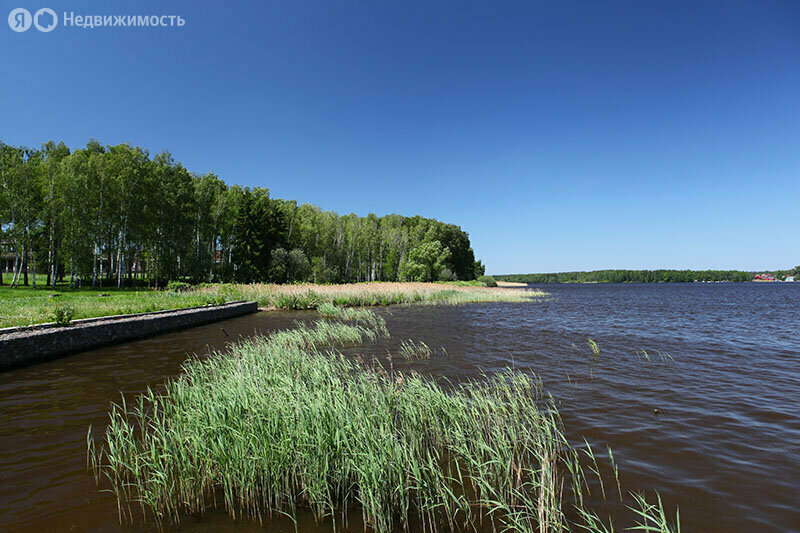 Yazlık yerleşim Дома России на Дмитровке, Moskova ve Moskovskaya oblastı, foto