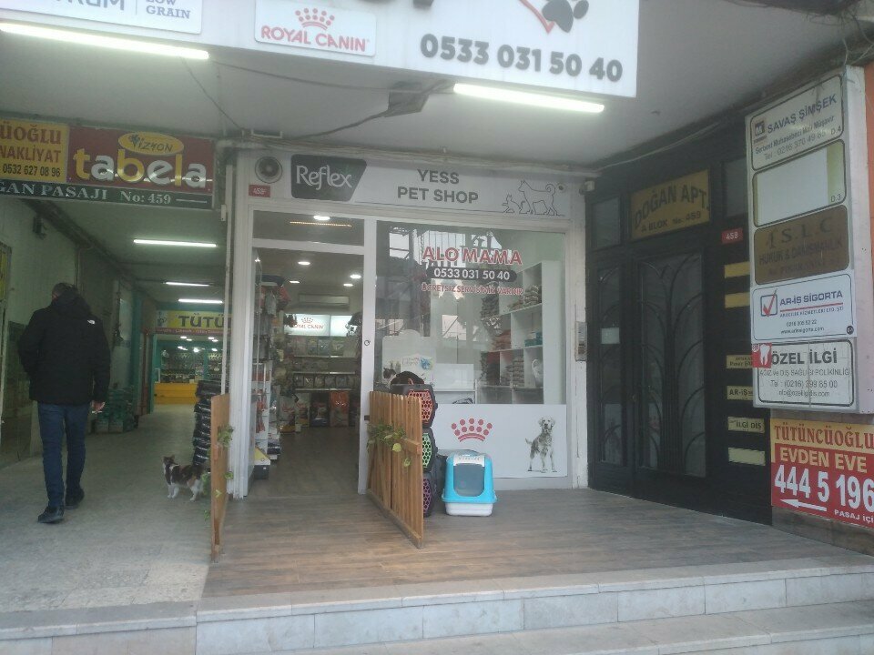 Petshop Yess Petshop, İstanbul, foto