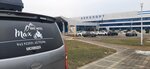 Max (ulitsa Zhmakina No:32), otel  Kislovodsk'tan