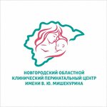 Новгородский областной клинический перинатальный центр имени В.Ю. Мишекурина (Derzhavina Street No:1с1), doğumevleri  Velikiy Novgorod'dan