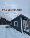 Елки Иголки (No:128, KP Neroshchino), konuk evi  Moskova ve Moskovskaya oblastından
